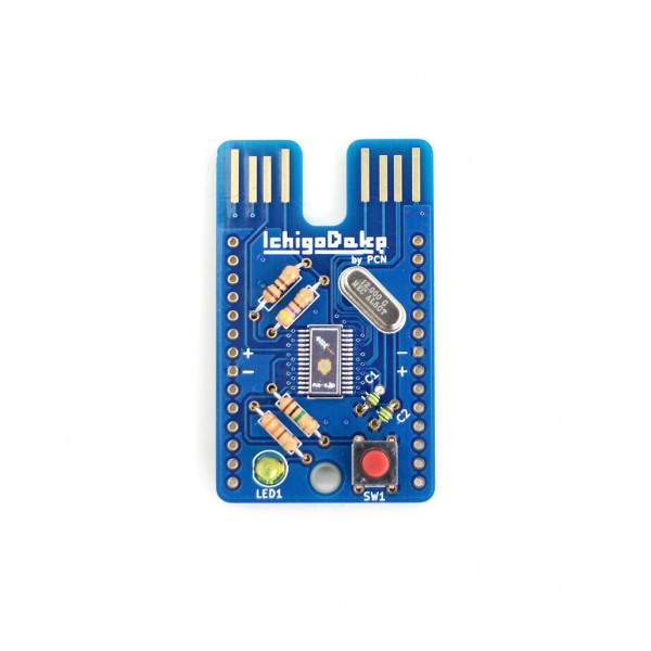 IchigoDake-IchigonQuest-HalfKit IchigoDake IchigonQuest プリント基板ハーフキット